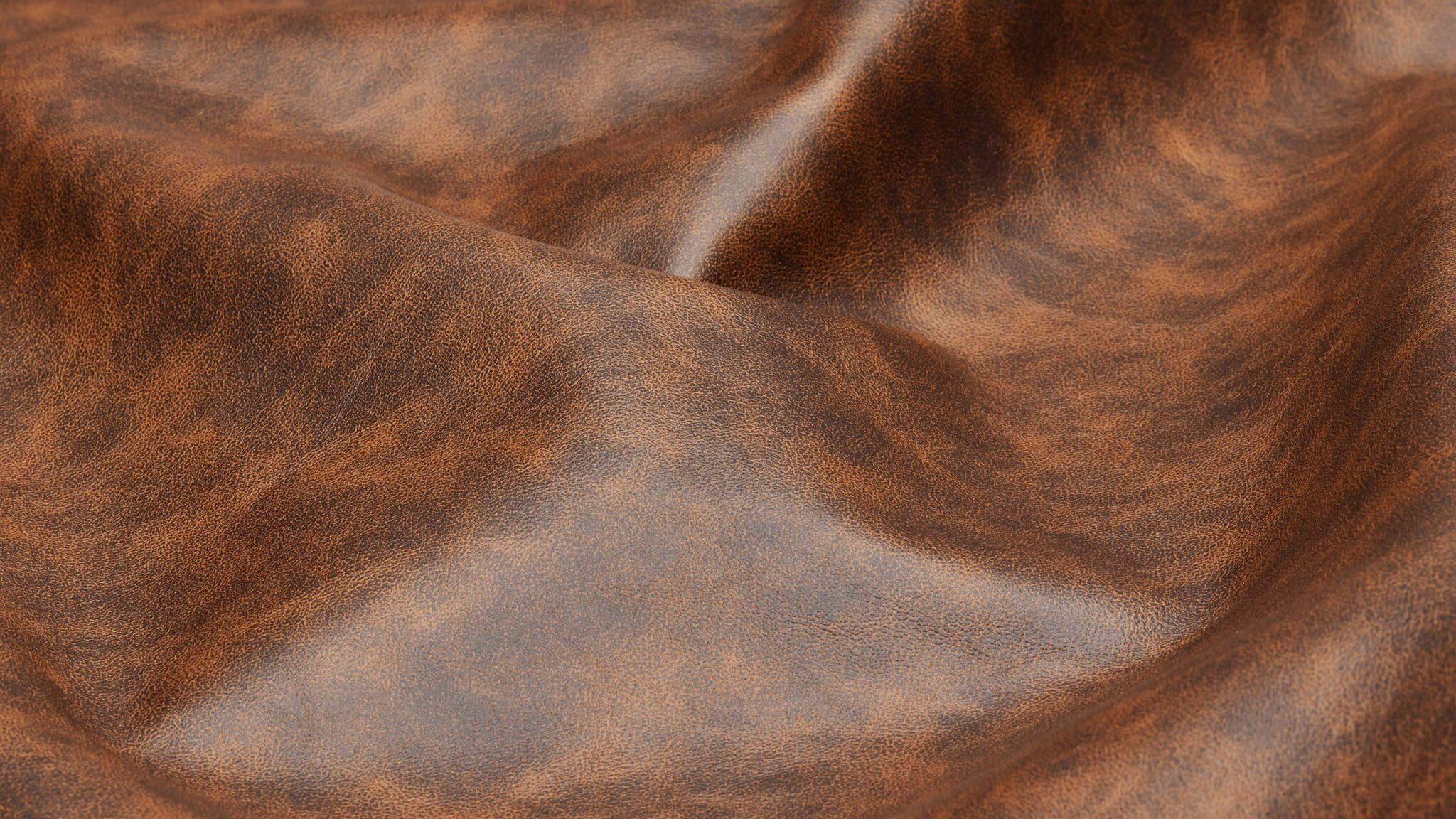 Maasleder | Leersoorten